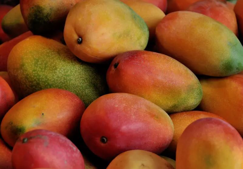 Fruits Of The Cayman Islands - Expert Visitor